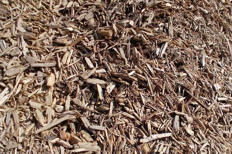 Order Mulch Online | A&M Trees Sheboygan, WI