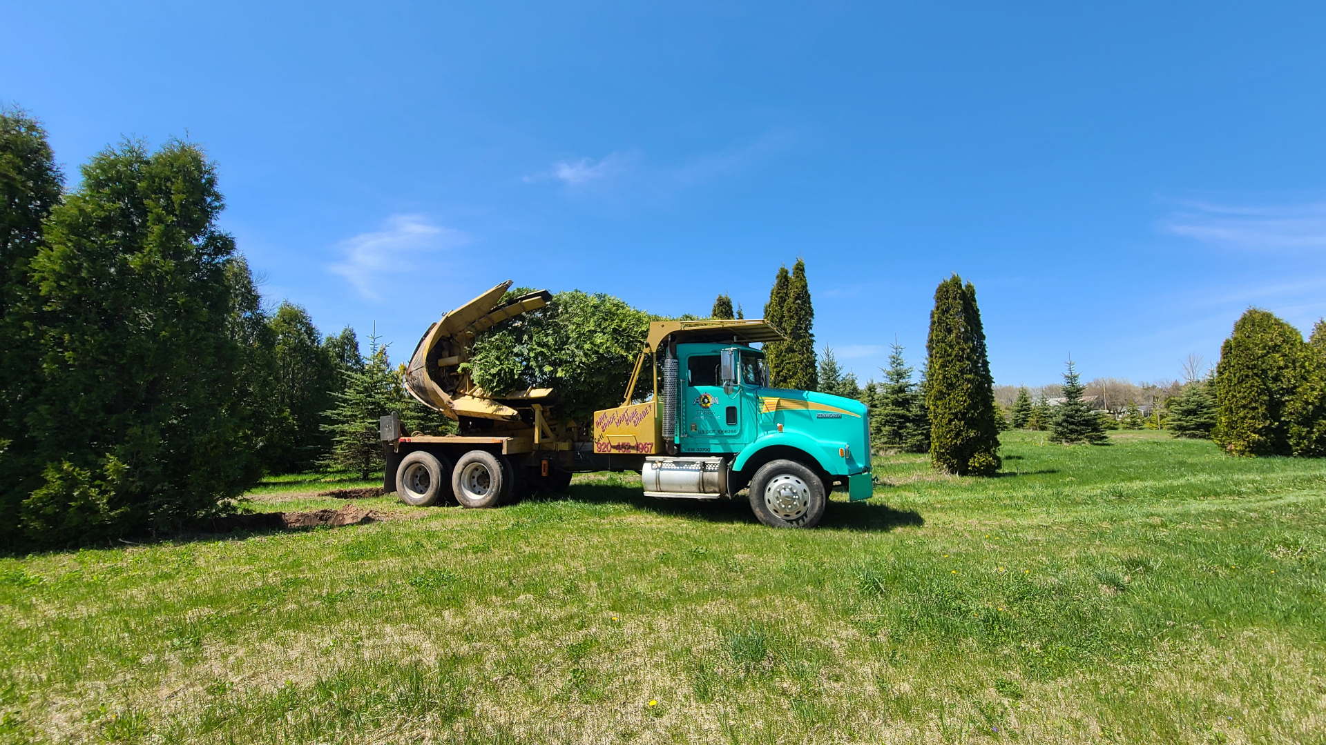Tree Services & Mulch Delivery | A&M Trees Sheboygan, WI