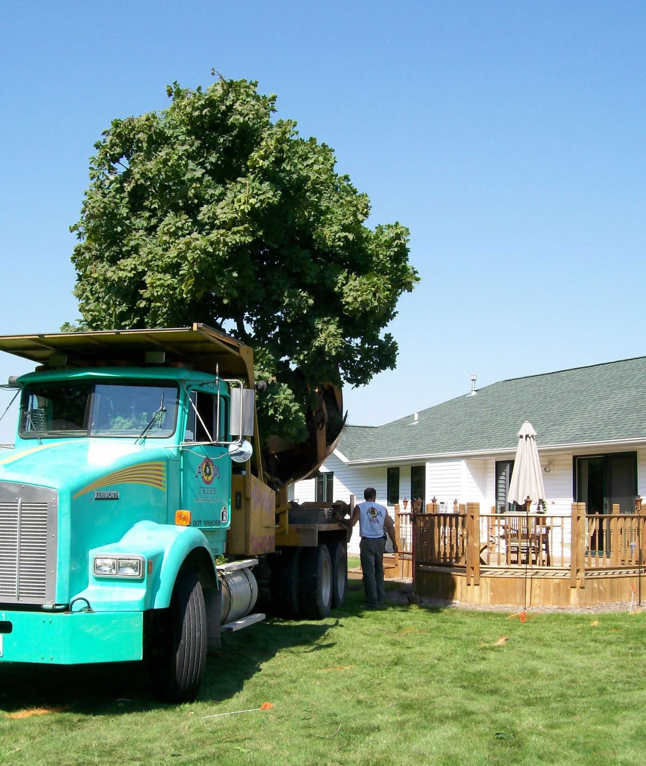 Stove Pellets | A&M Trees, LLC, Sheboygan, Wisconsin 53081